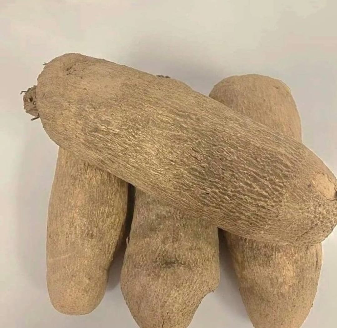 Fresh African Yam, Fresh Ghana Yam, Fresh Tubers of Yam, 7.5lbs (2 0r 3 ...