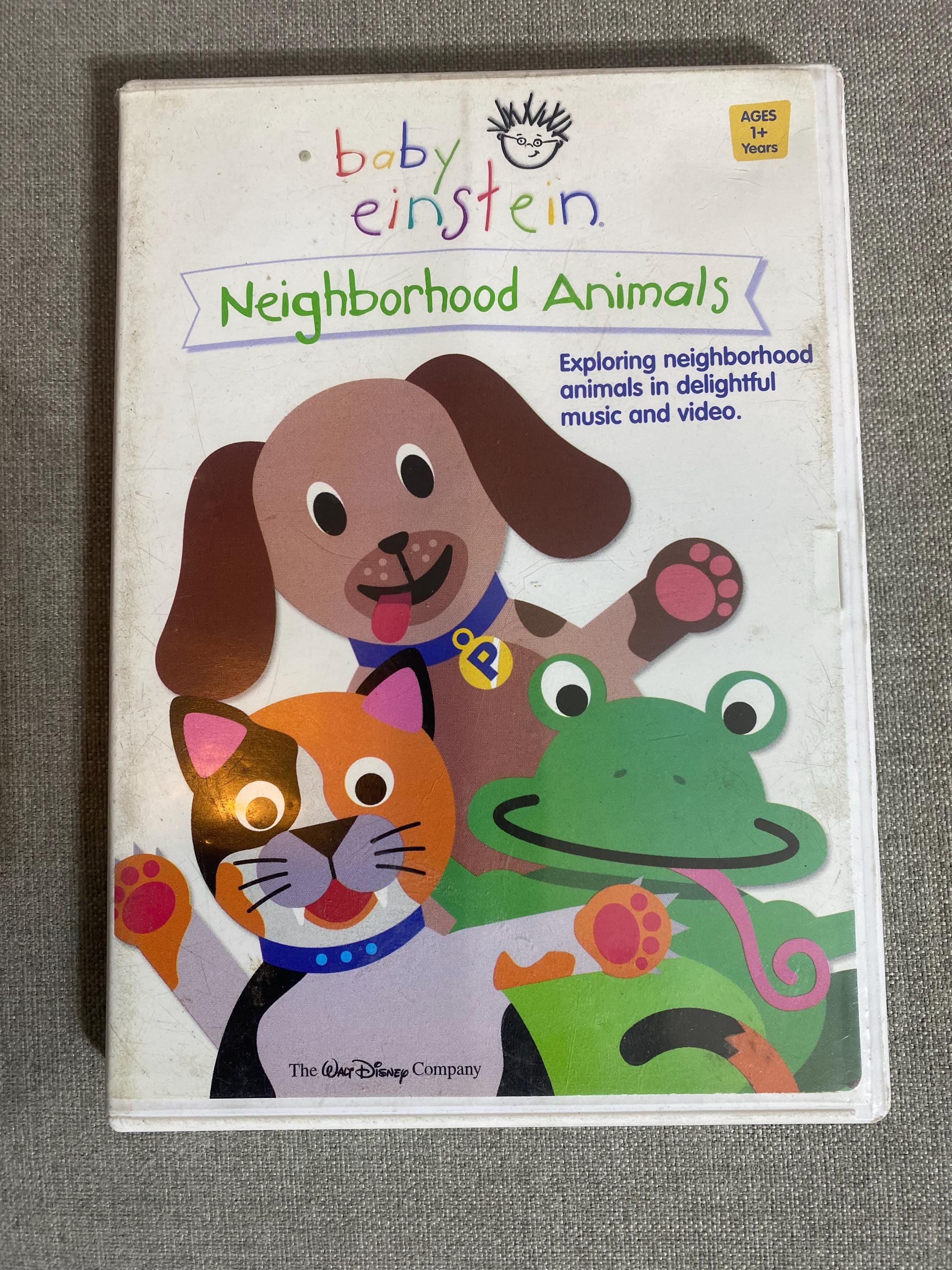 Baby Einstein Dvd
