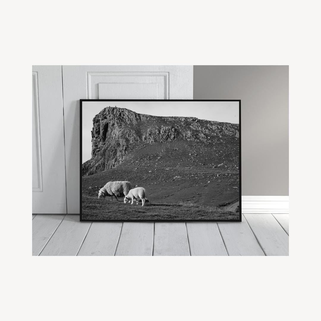 Scotland's Sheep | Nest Point | Cliff | Landscape | Digital Print ...