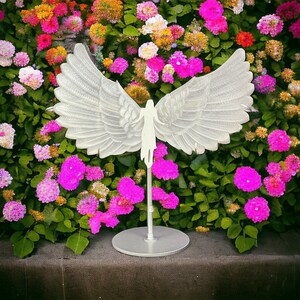 Hand-carved Selenite Angel Wings With Stand for Spiritual and Crystal ...