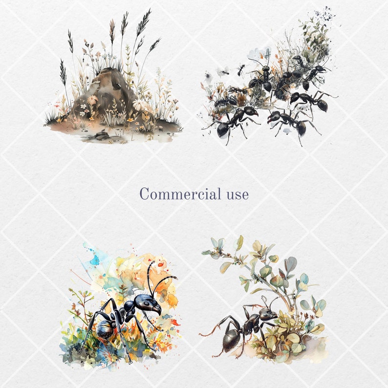 Watercolor Ants Clipart Bundle Insect Png Plants Digital Download for ...