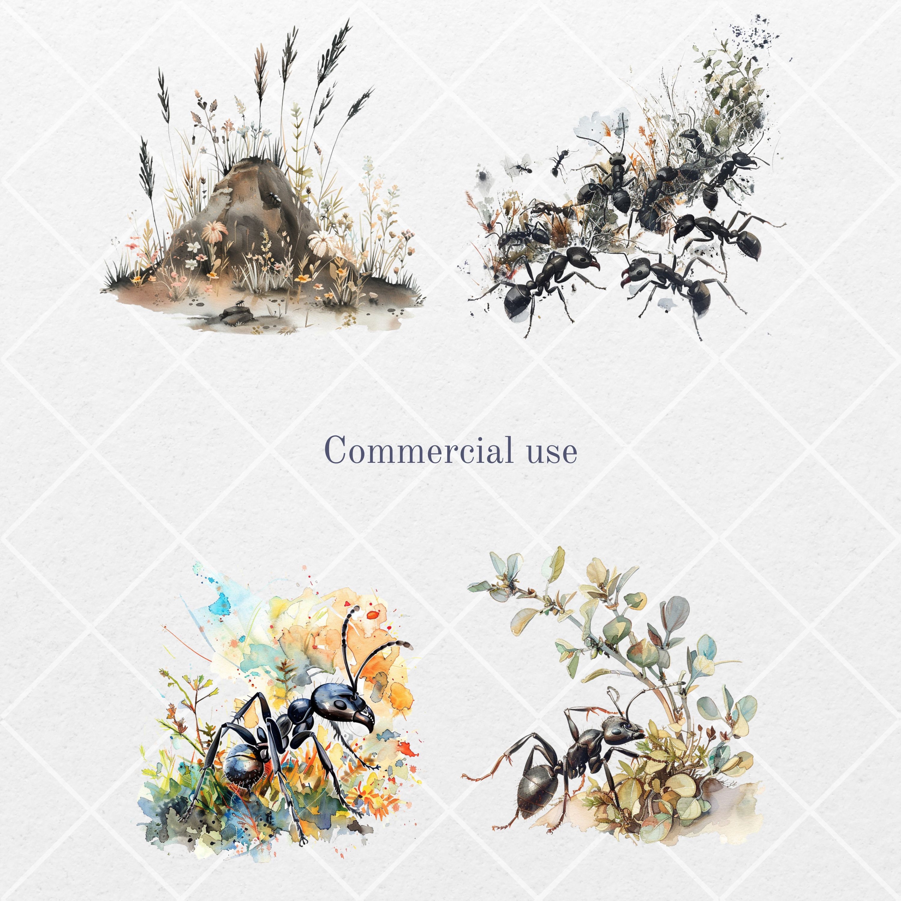 Watercolor Ants Clipart Bundle Insect Png Plants Digital Download for ...