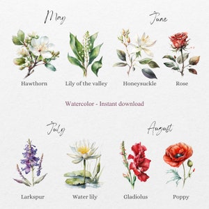 Birth Month Flowers Clipart - Watercolor Birthflowers Clipart - PNG ...