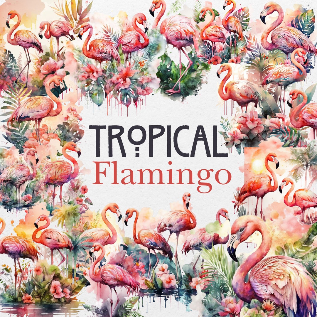 Watercolor Tropical Flamingo Clipart Bundle Pink Bird Png Floral Plants ...