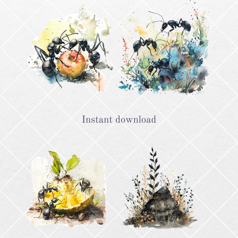 Watercolor Ants Clipart Bundle Insect Png Plants Digital Download for ...