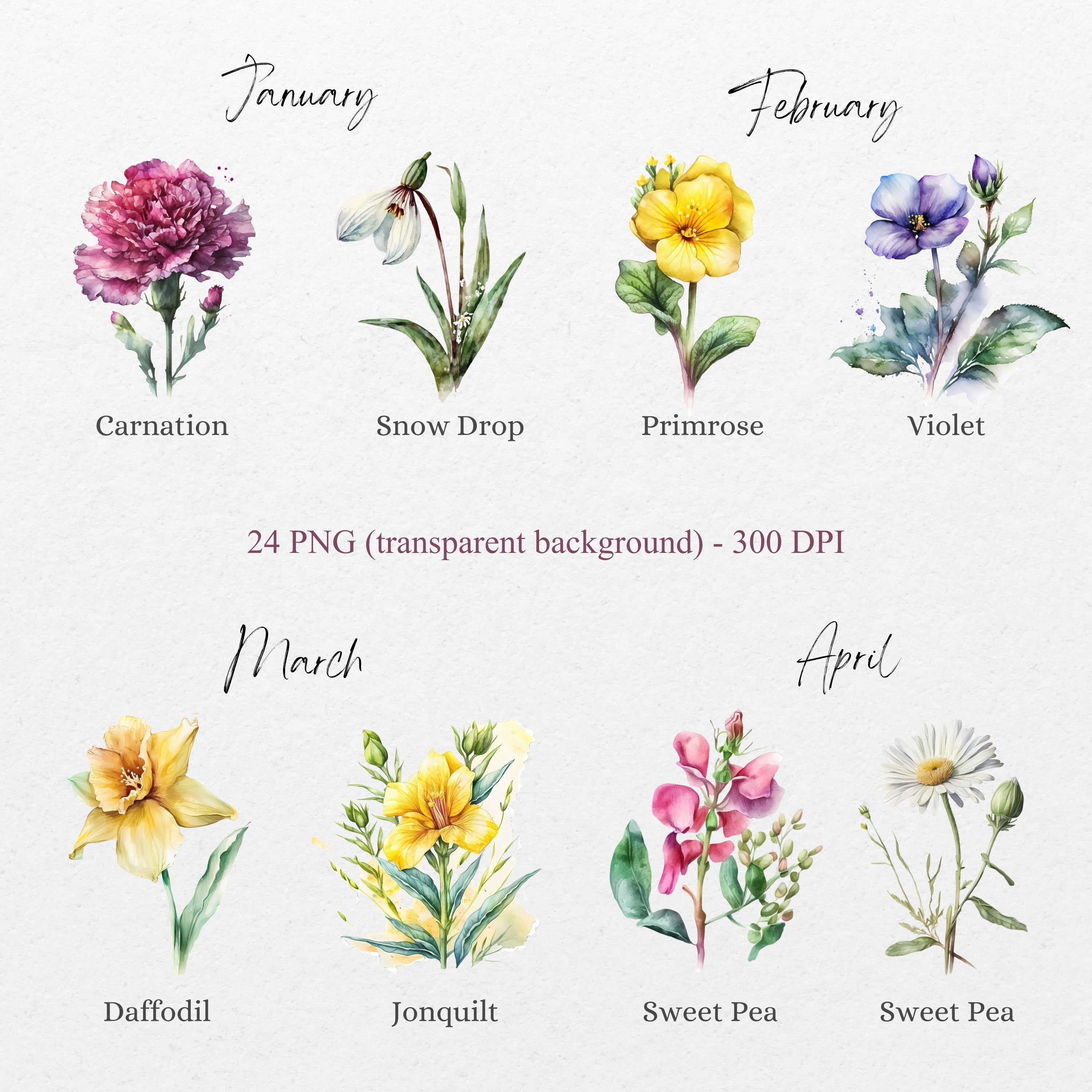 Birth Month Flowers Clipart Watercolor Birthflowers Clipart PNG ...