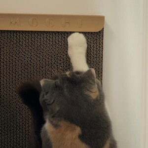 Customisable Wall Mounted Cat Scratcher: Modern Pet Furniture in 27 ...