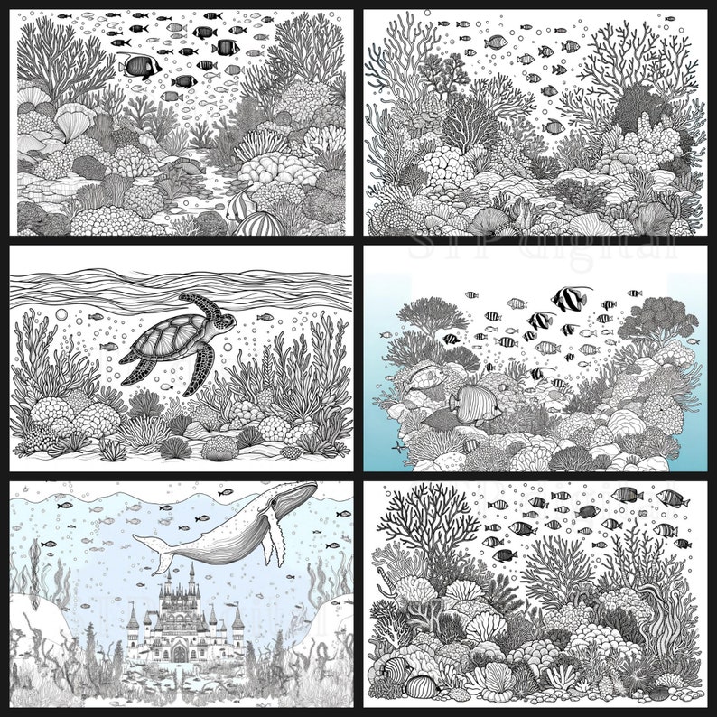 Coloring Page Download, 32 Underwater Designs, Coral Reef Clip Art ...