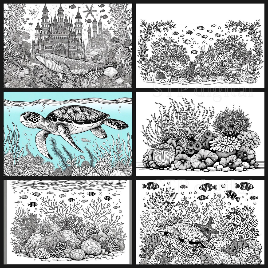 Coloring Page Download, 32 Underwater Designs, Coral Reef Clip Art ...