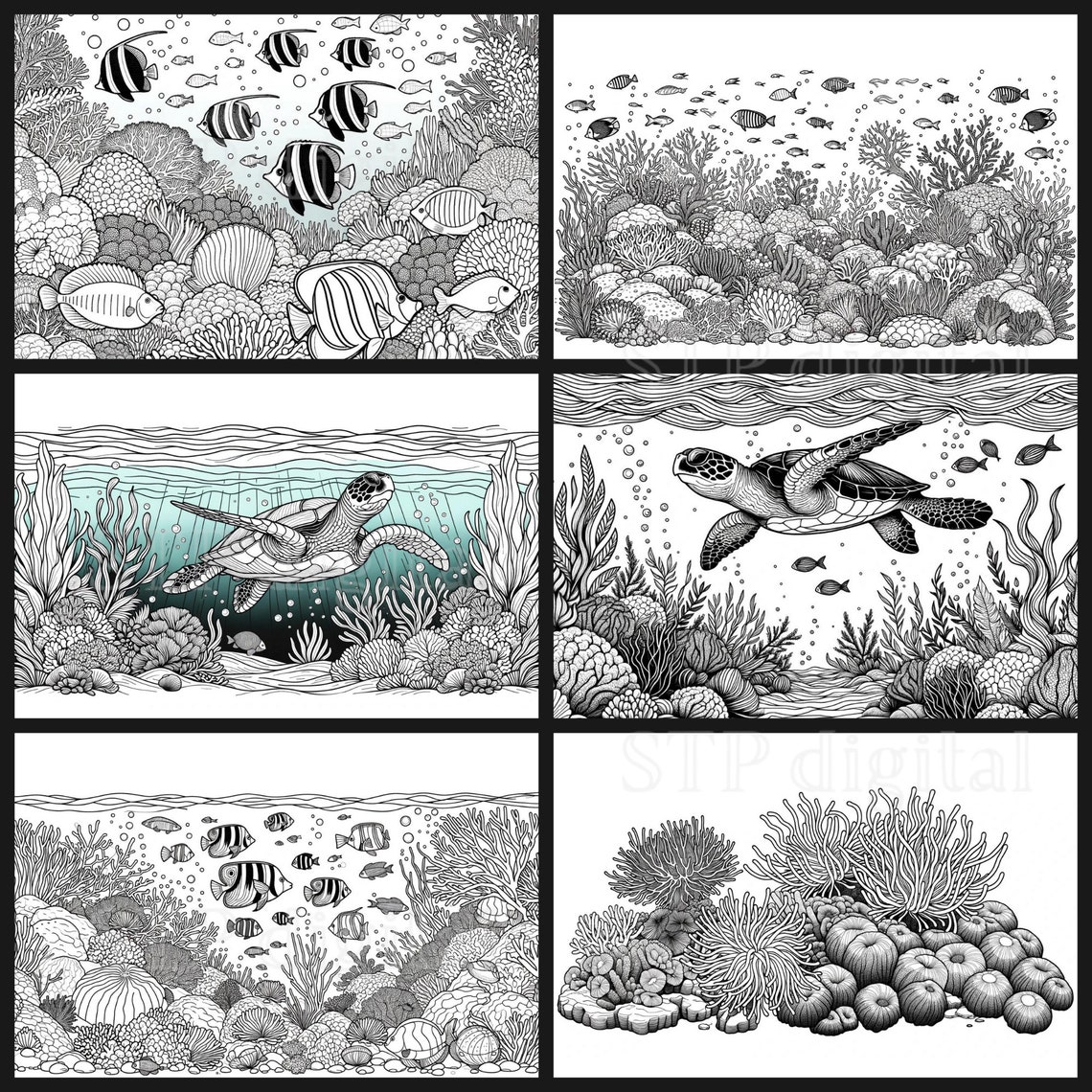 Coloring Page Download, 32 Underwater Designs, Coral Reef Clip Art ...