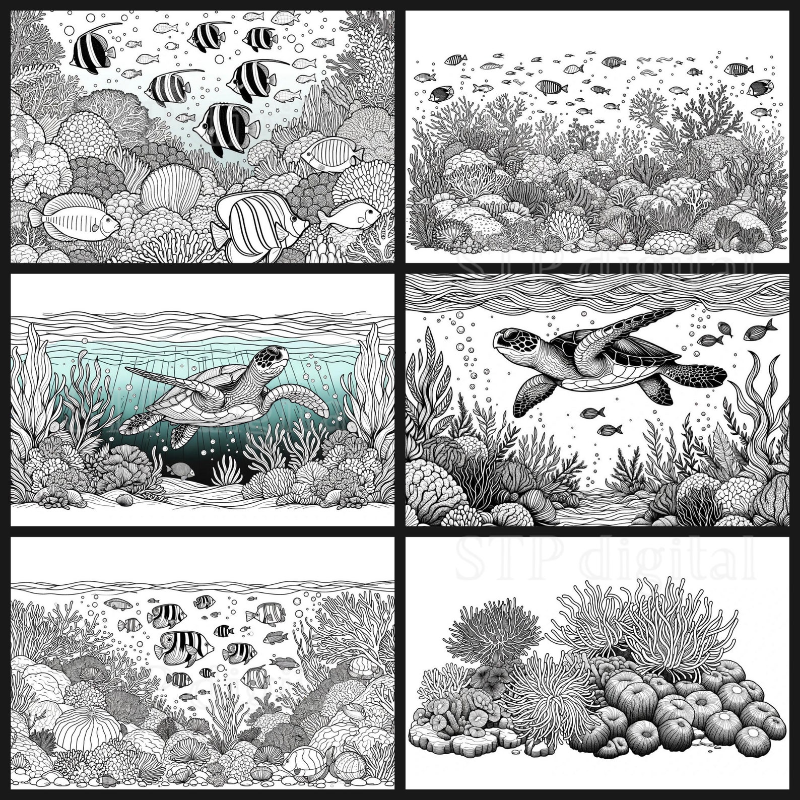 Coloring Page Download, 32 Underwater Designs, Coral Reef Clip Art ...