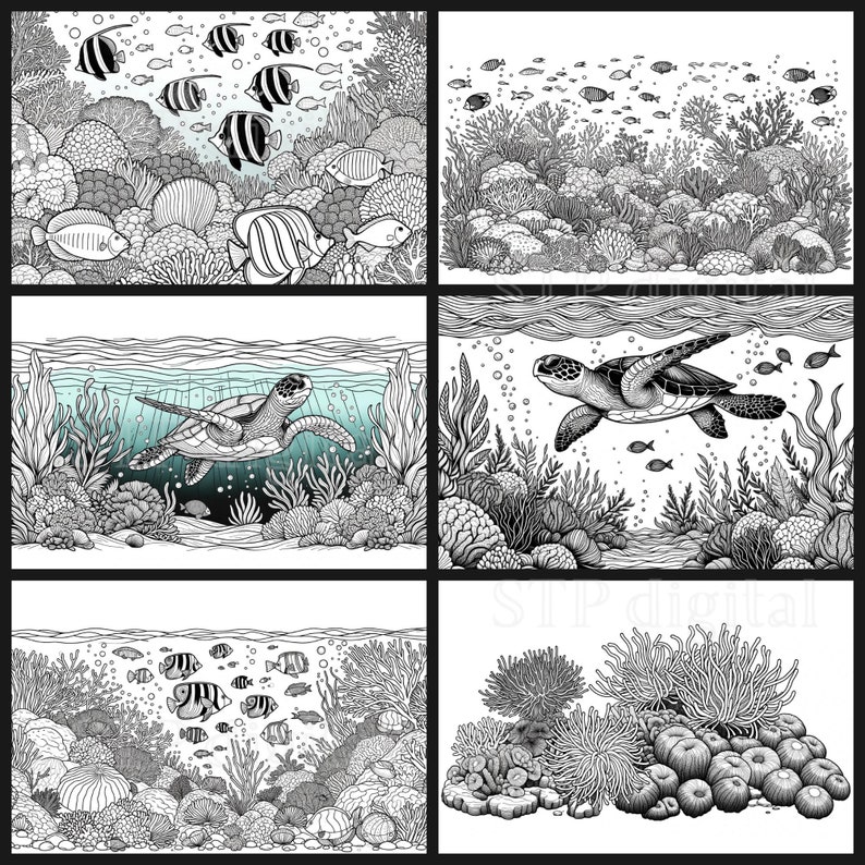 Coloring Page Download, 32 Underwater Designs, Coral Reef Clip Art ...