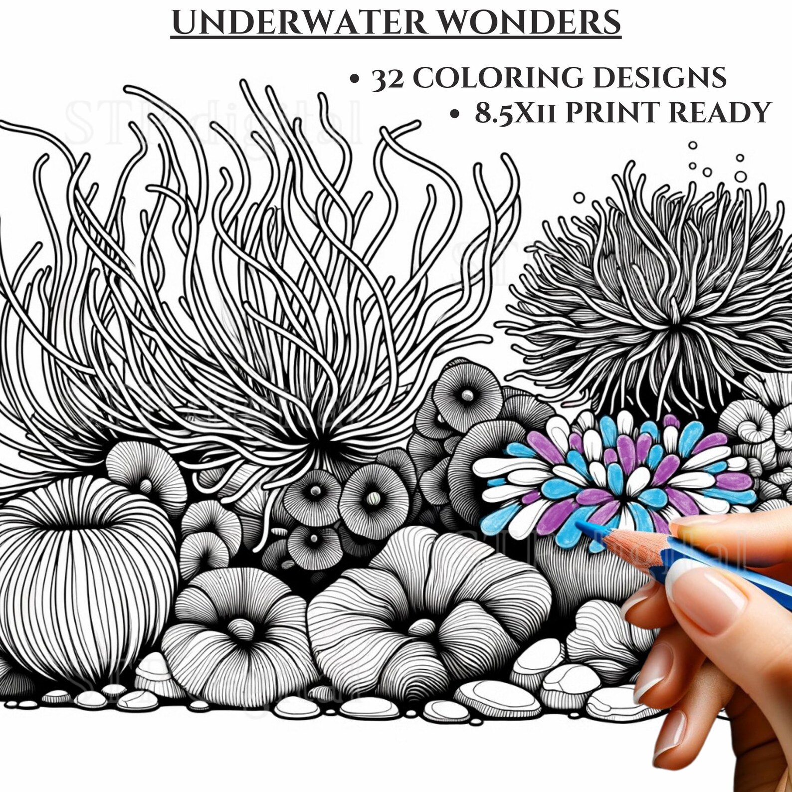 Coloring Page Download, 32 Underwater Designs, Coral Reef Clip Art ...