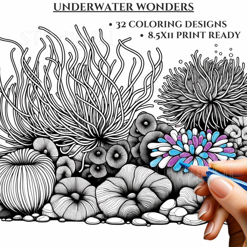 Coloring Page Download, 32 Underwater Designs, Coral Reef Clip Art ...