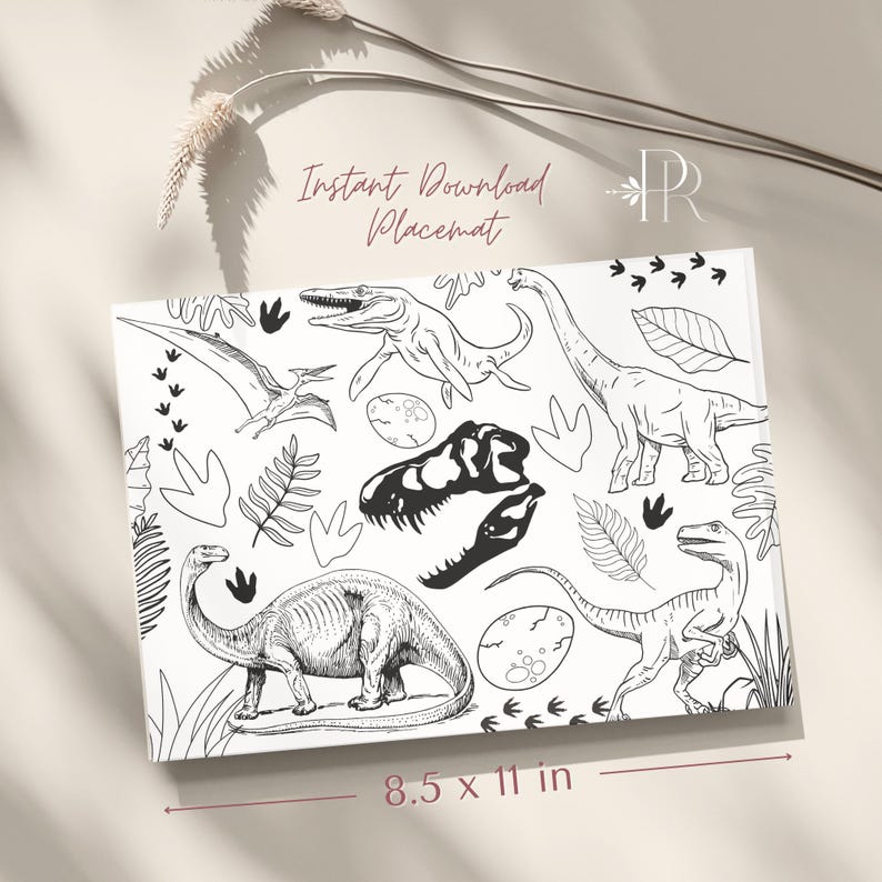 Dinosaur Coloring Mat/sheet, Instant Download 8.5 X 11 PDF and JPG - Etsy