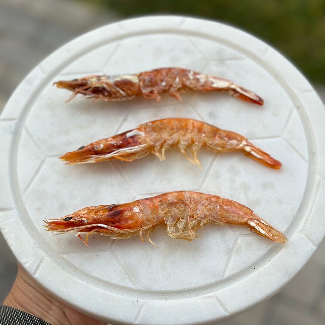 Dehydrated Shrimp Dog Treat, Healthy Dog Treat, Shrimp for Dogs and Cats - Etsy