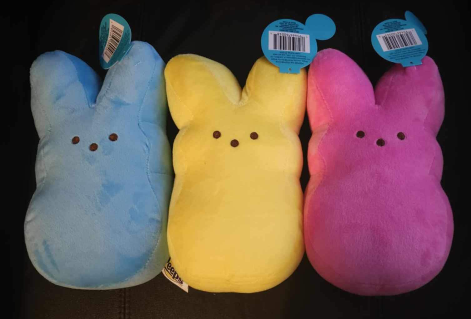 Custom Peep Plush Pillow- Personalized Easter Gift- 10" Personalized ...