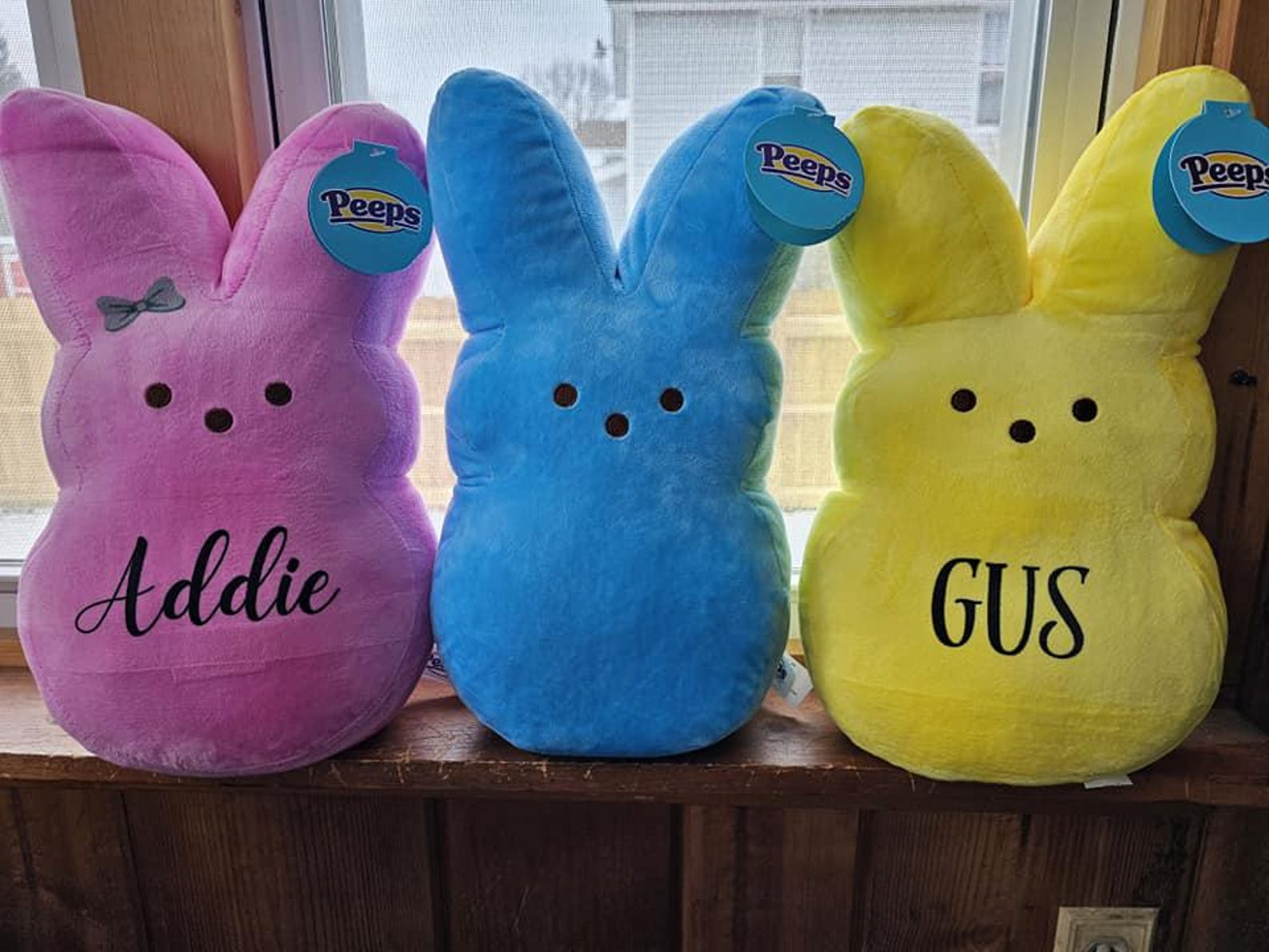 Custom Peep Plush Pillow- Personalized Easter Gift- 10" Personalized ...