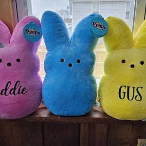 Custom Peep Plush Pillow- Personalized Easter Gift- 10" Personalized ...
