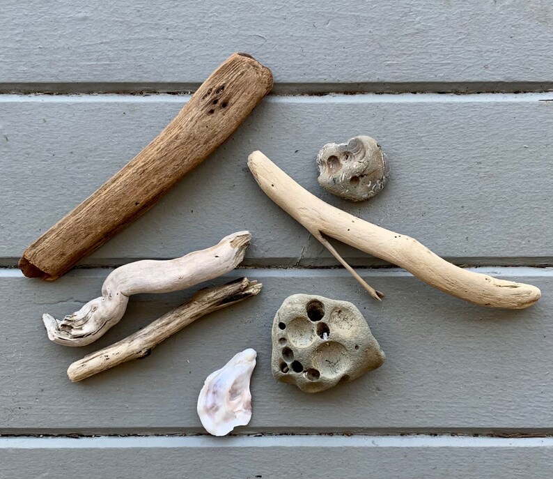 Beach Finds Driftwood Beach Rocks and a Shell . Set of 7 Beach Finds ...