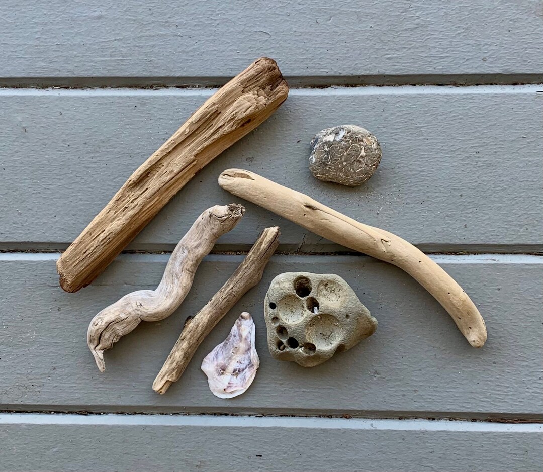 Beach Finds Driftwood Beach Rocks and a Shell . Set of 7 Beach Finds ...