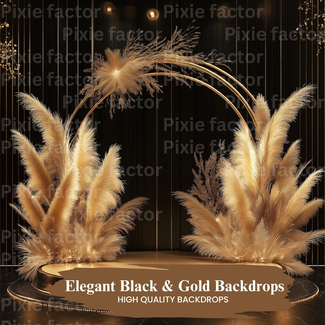 Elegant Black & Gold Digital Photography Backdrop, Modern Photography ...