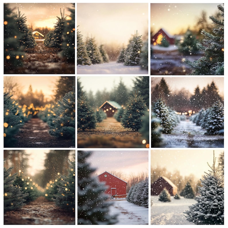 50+ Christmas Tree Farm Digital Backdrops, Winter Backdrop, Holiday ...
