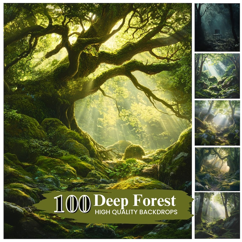 100 Deep Forest Digital Backdrops, Nature Photography Backdrops ...