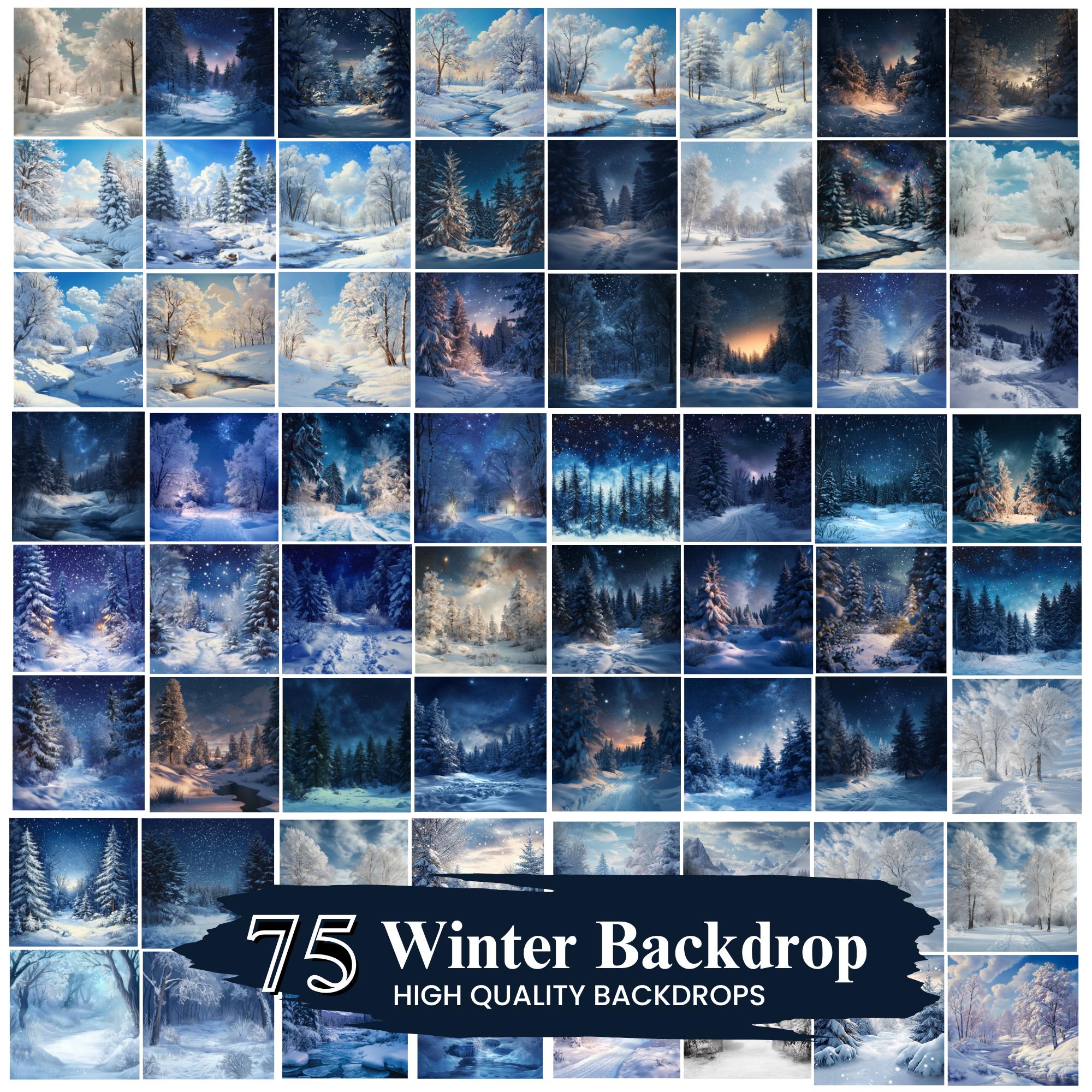 50+ Winter Digital Backdrops, Forest Snow Backdrops, Winter Maternity ...
