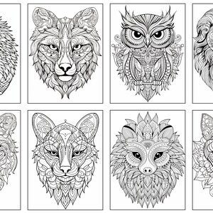 100 Amazing Animals: Zentangle and Mandala Coloring Book - Coloring ...