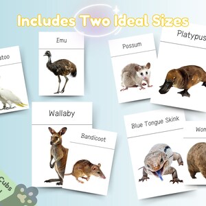 24 Australian Animals Montessori Flashcards With Fun Facts: Educational ...
