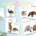 Australian Animals Montessori Flashcards: Fun Facts Printable (digital ...