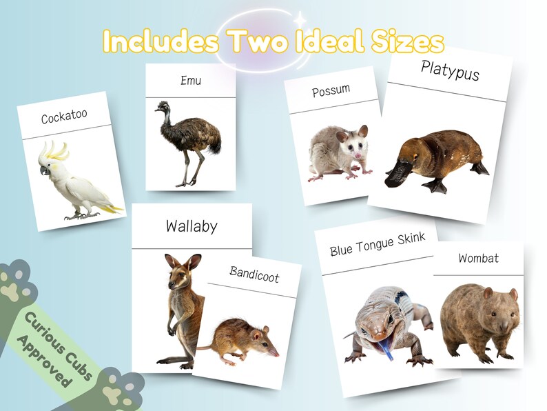24 Australian Animals Montessori Flashcards With Fun Facts: Educational ...