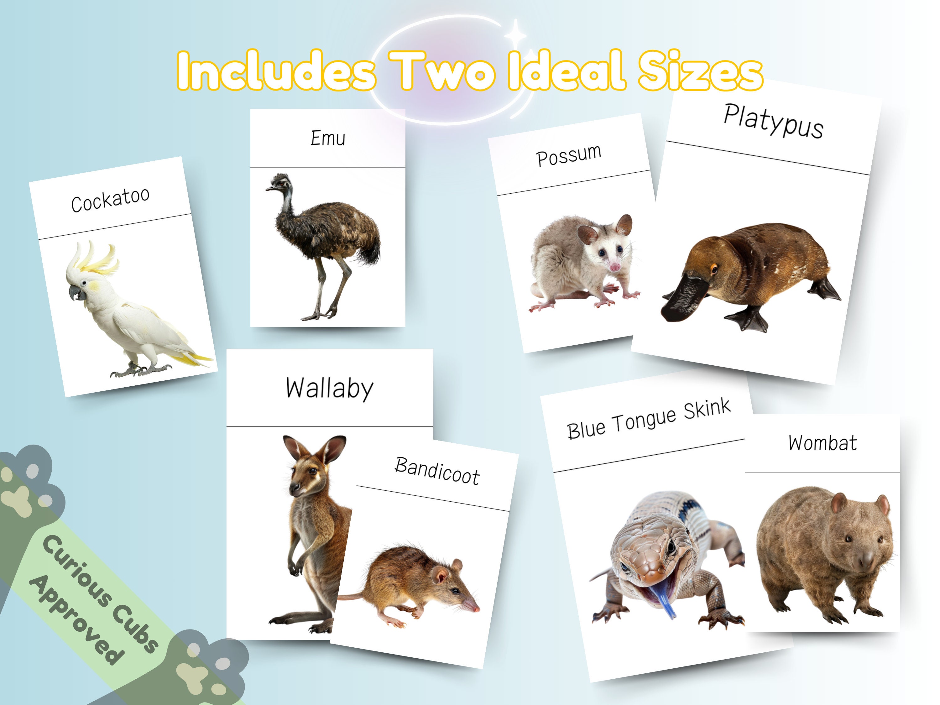 24 Australian Animals Montessori Flashcards With Fun Facts: Educational ...