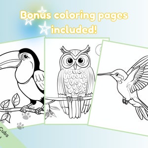 24 Bird Animals Montessori Flashcards With Fun Facts: Educational & Fun ...