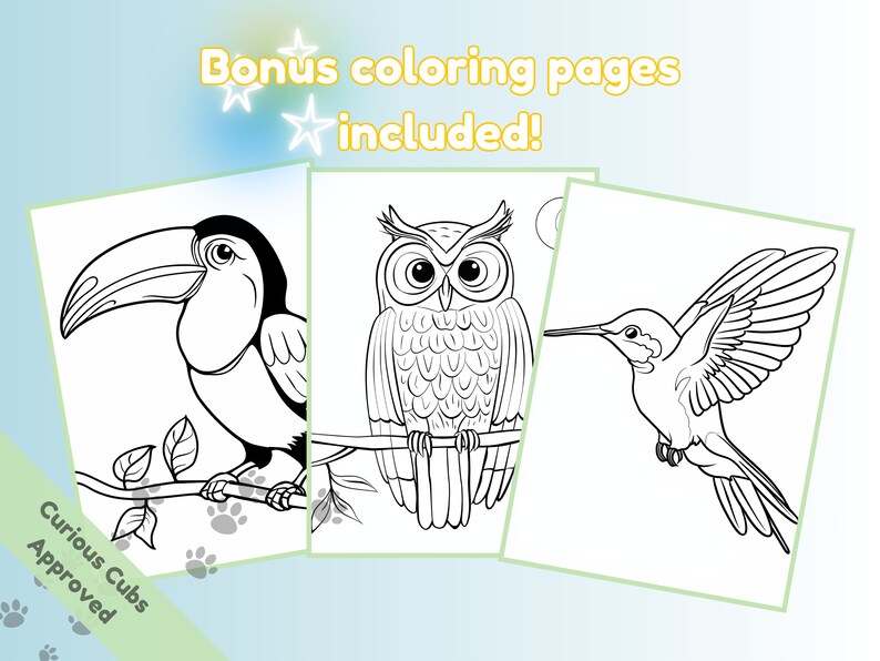 24 Bird Animals Montessori Flashcards With Fun Facts: Educational & Fun ...