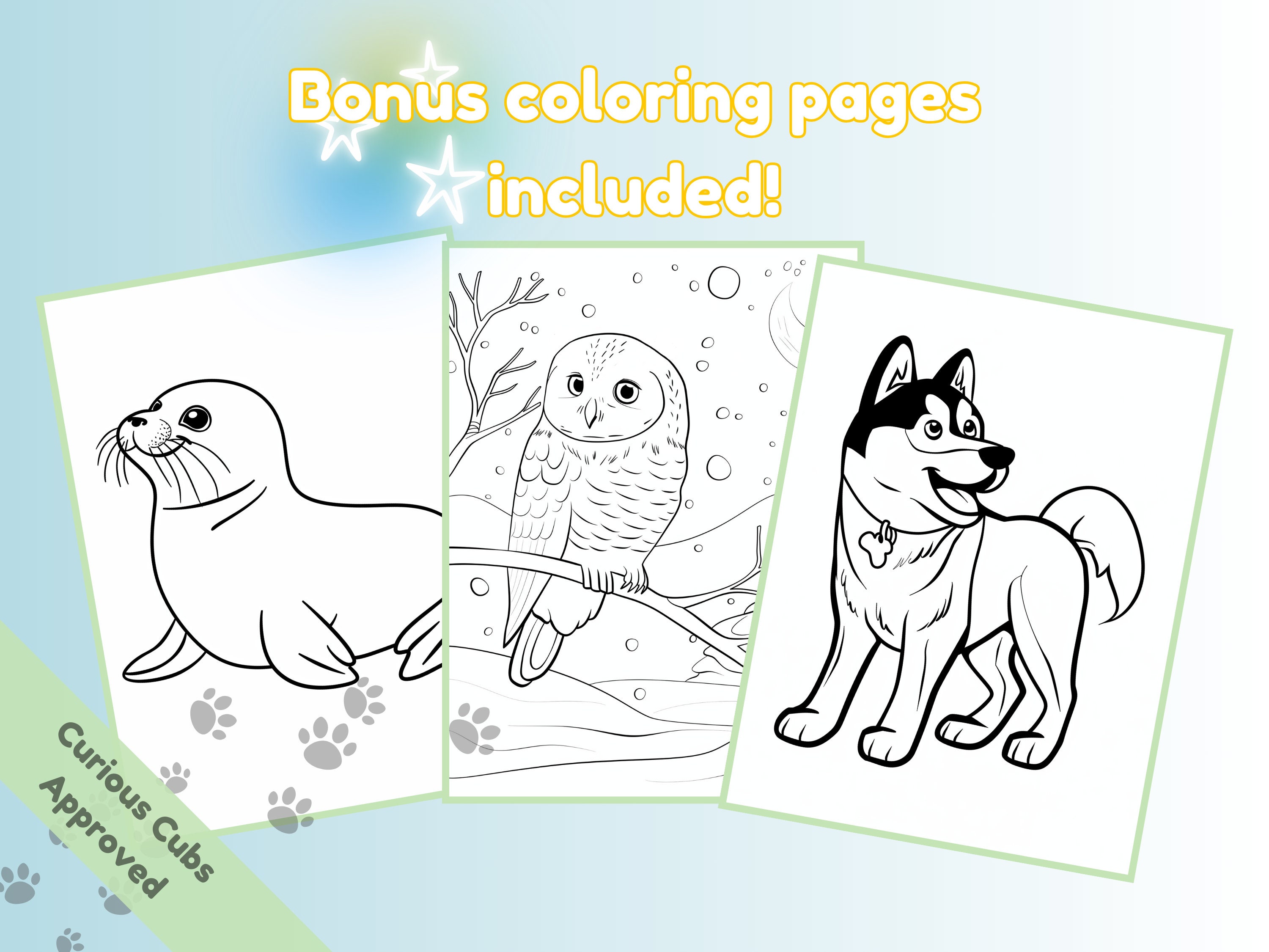 24 Arctic Animals Montessori Flashcards With Fun Facts: Educational ...