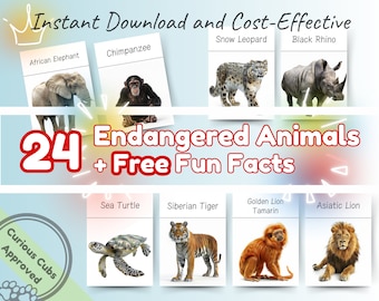24 Desert Animals Montessori Flashcards With Fun Facts: Educational ...