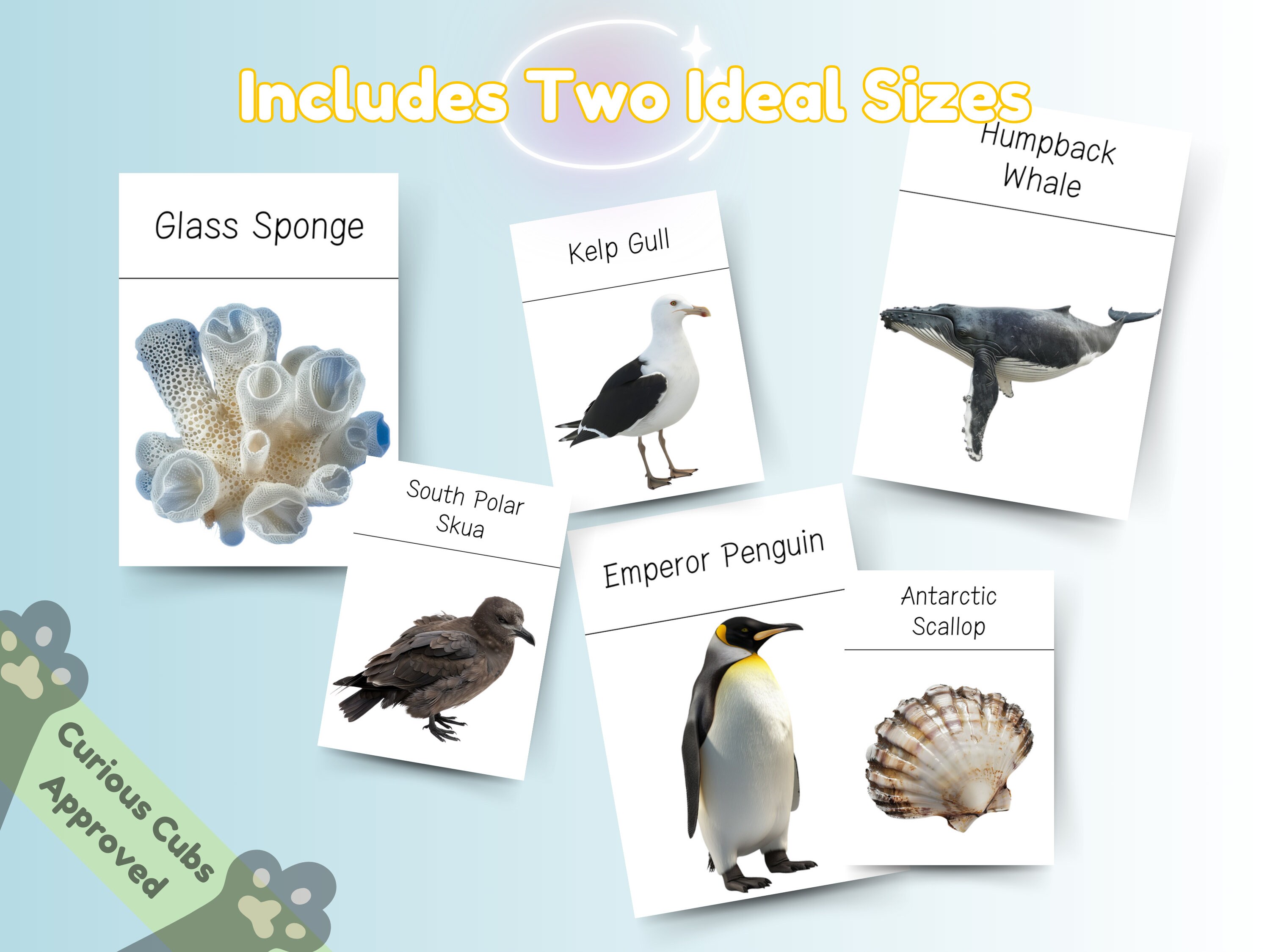 24 Antarctic Animals Montessori Flashcards With Fun Facts: Educational ...