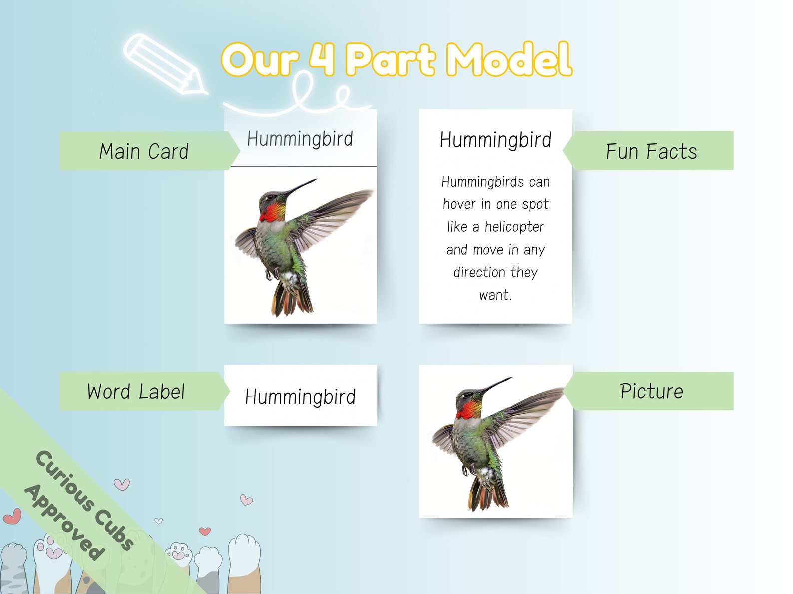 24 Bird Animals Montessori Flashcards With Fun Facts: Educational & Fun ...