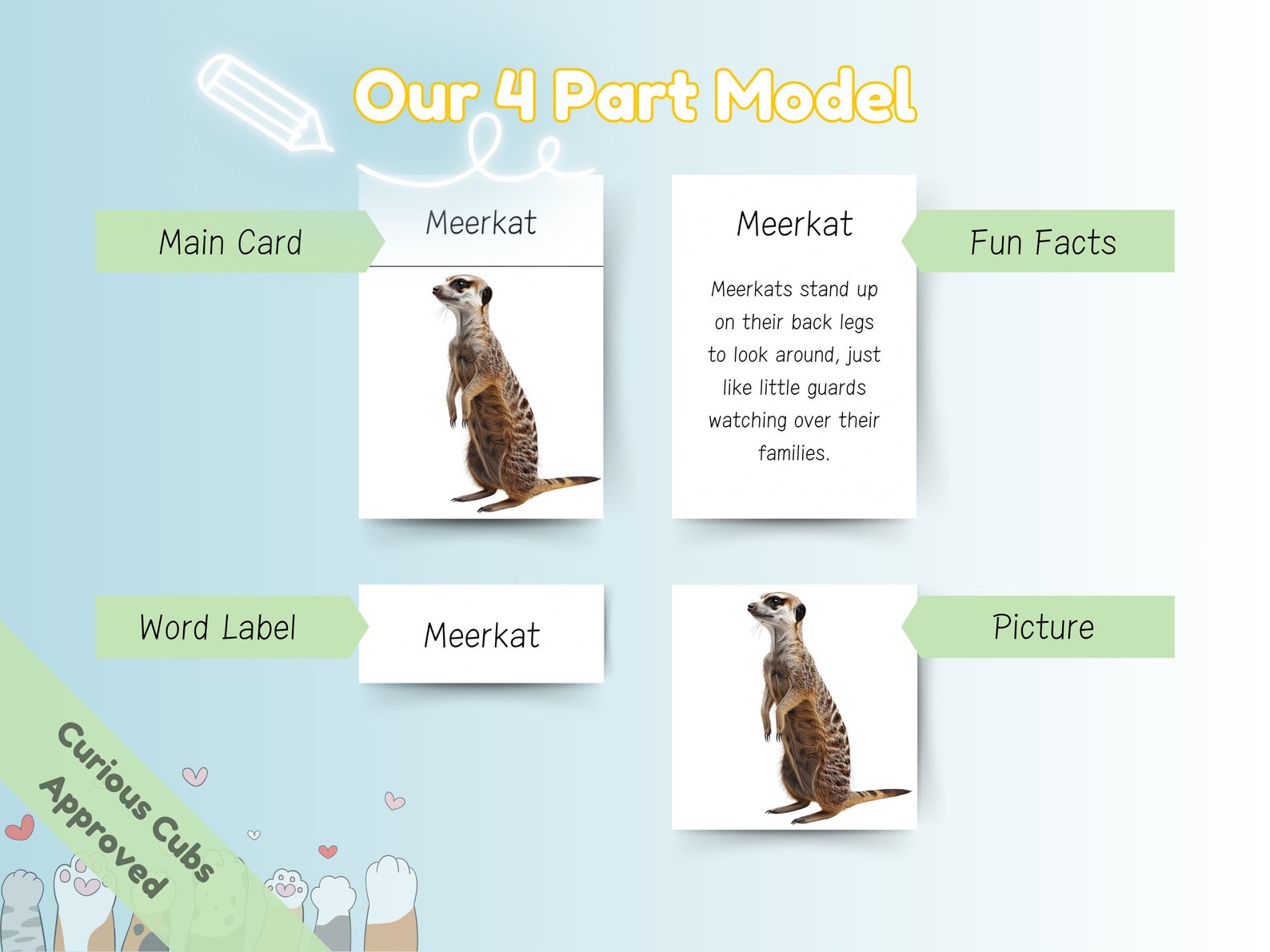 24 Desert Animals Montessori Flashcards With Fun Facts: Educational ...