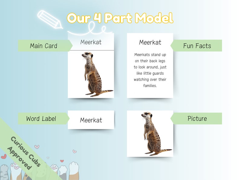 24 Desert Animals Montessori Flashcards With Fun Facts: Educational ...