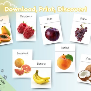 Fruits Montessori Flashcards: Fun Facts, Toddler Learning (digital ...