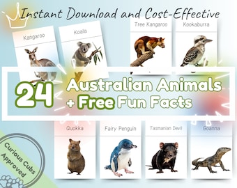 24 Jungle and Rainforest Animals Montessori Flashcards Fun Facts ...