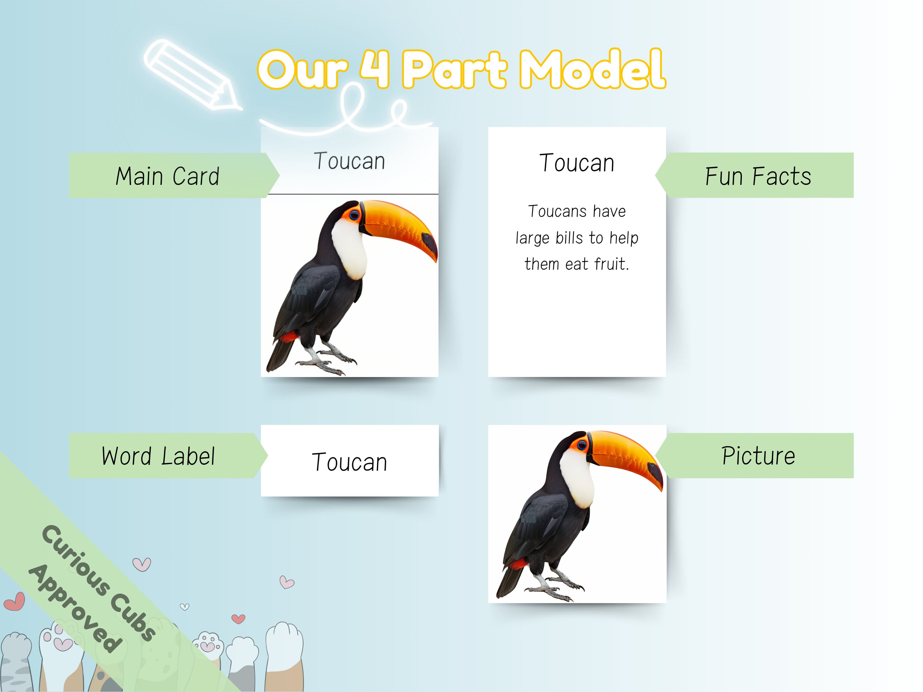 24 Jungle and Rainforest Animals Montessori Flashcards + Fun Facts ...