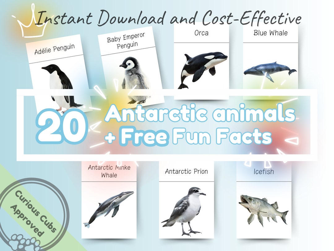 24 Antarctic Animals Montessori Flashcards With Fun Facts: Educational ...