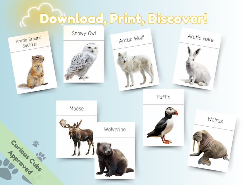 24 Arctic Animals Montessori Flashcards With Fun Facts: Educational ...