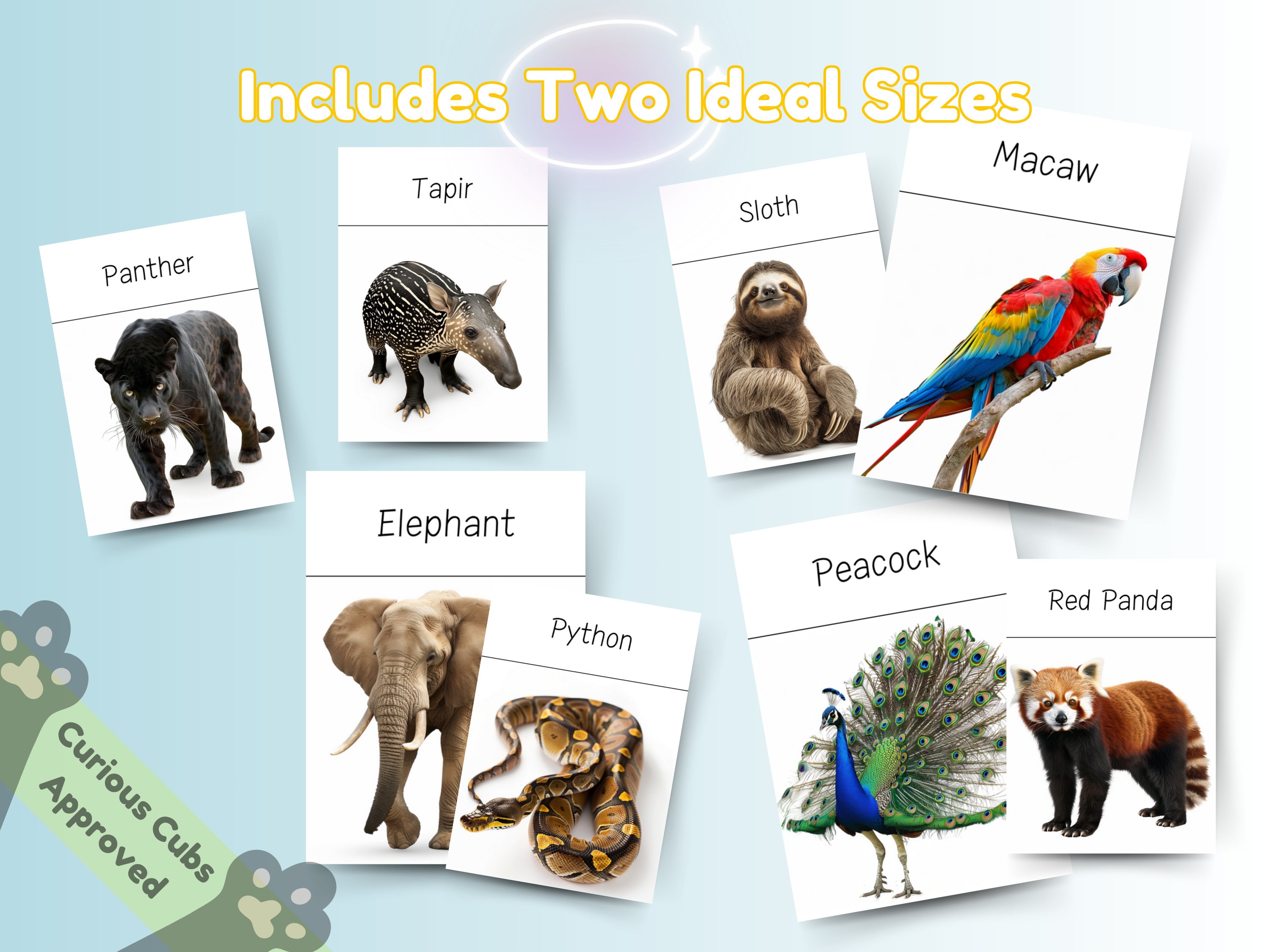 24 Jungle and Rainforest Animals Montessori Flashcards + Fun Facts ...