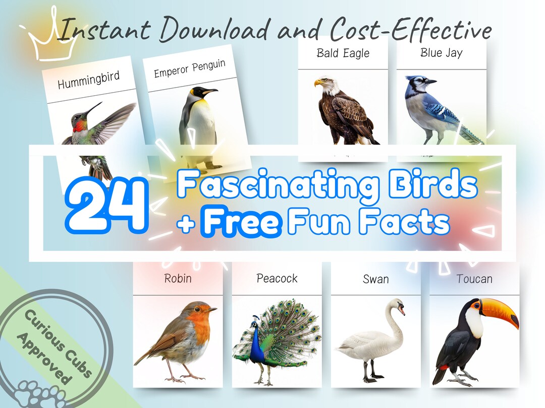24 Bird Animals Montessori Flashcards With Fun Facts: Educational & Fun ...