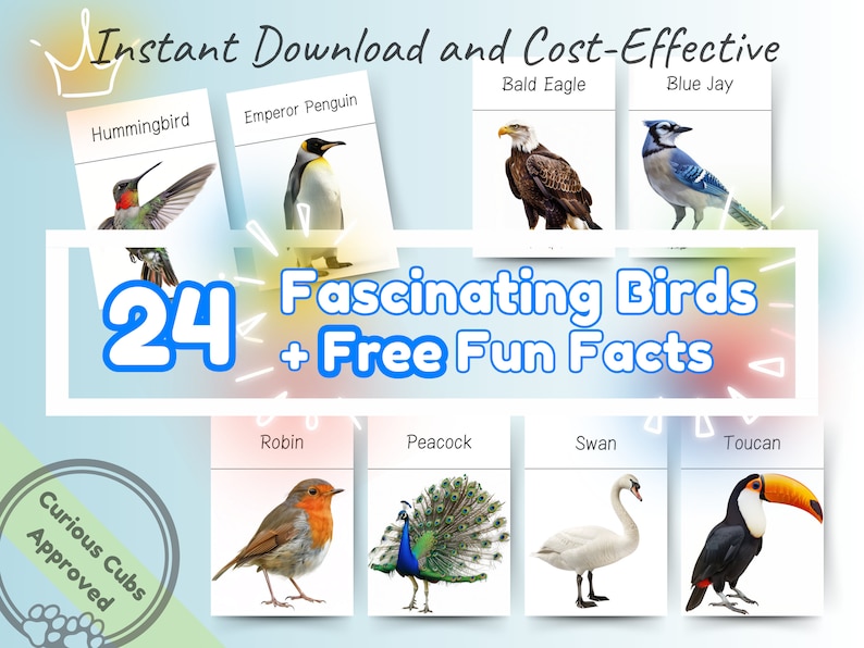24 Bird Animals Montessori Flashcards With Fun Facts: Educational & Fun ...